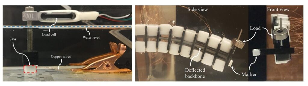 Soft Robotics – Autonomous Collective Systems Laboratory