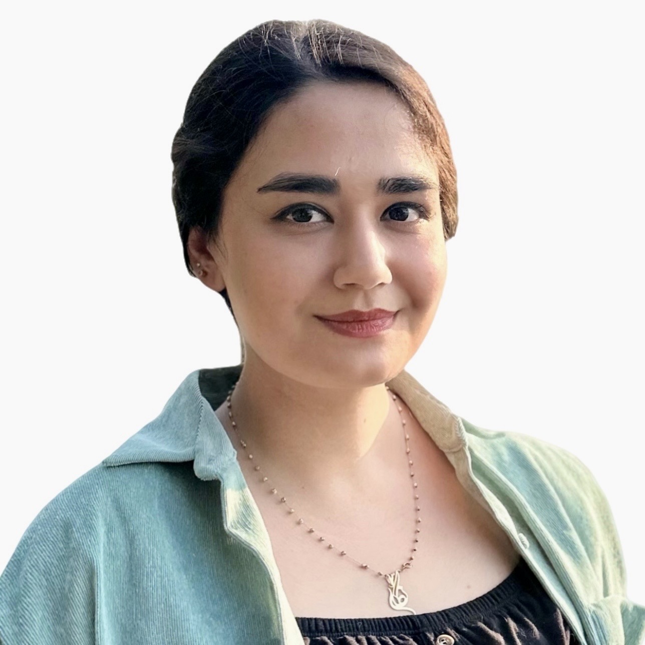 Group Members – Chen Research Group