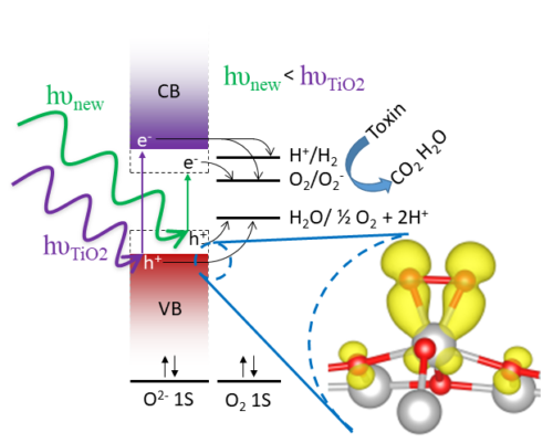 Research Overview – Muhich Lab