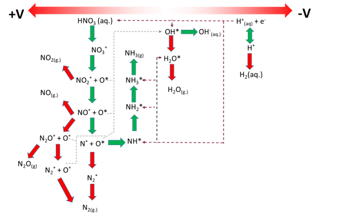 Research Overview – Muhich Lab