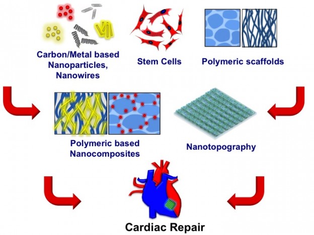 Publications – Nikkhah Lab