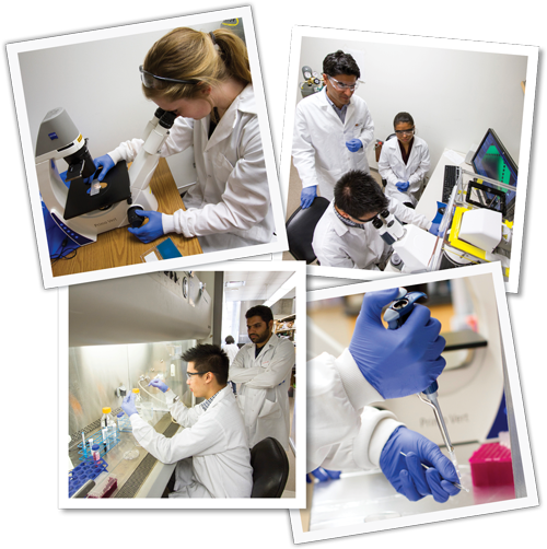 Resources – Nikkhah Lab