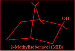 MIB and Geosmin Producers – Paul Westerhoff
